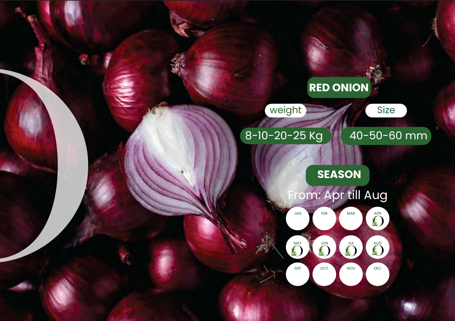 RED ONION - ONile Group For Premium Food Exporting