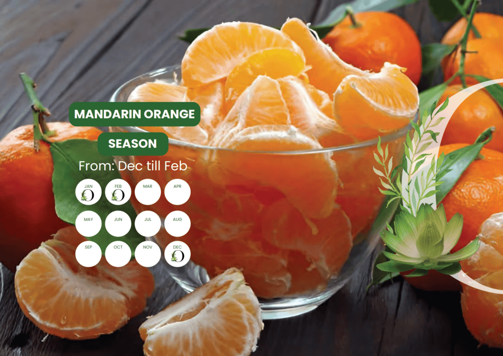 MANDARIN ORANGE - ONile Group For Premium Food Exporting